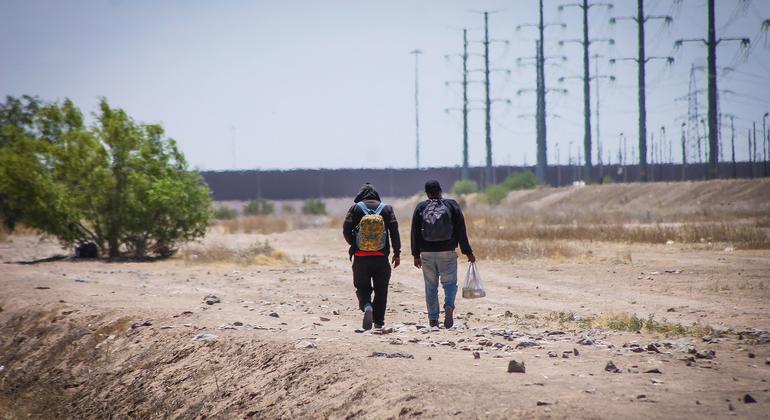La frontera entre Estados Unidos y México es la ruta migratoria terrestre más peligrosa del ...
